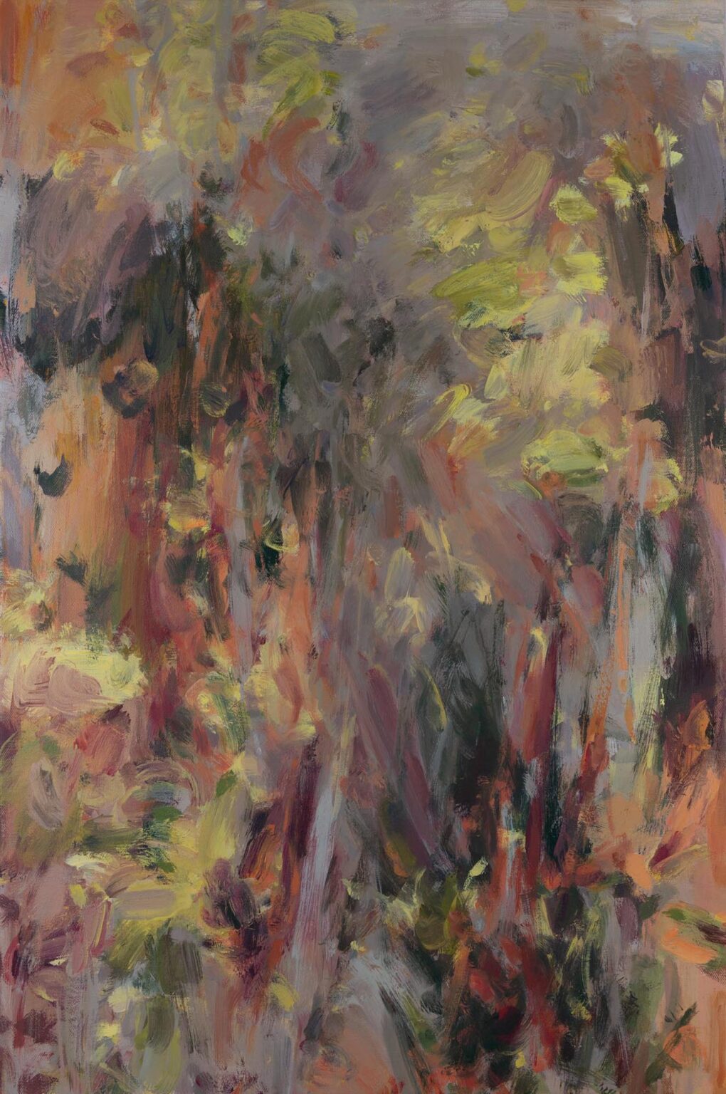 Plantscapes - Claire Ninham | Artist