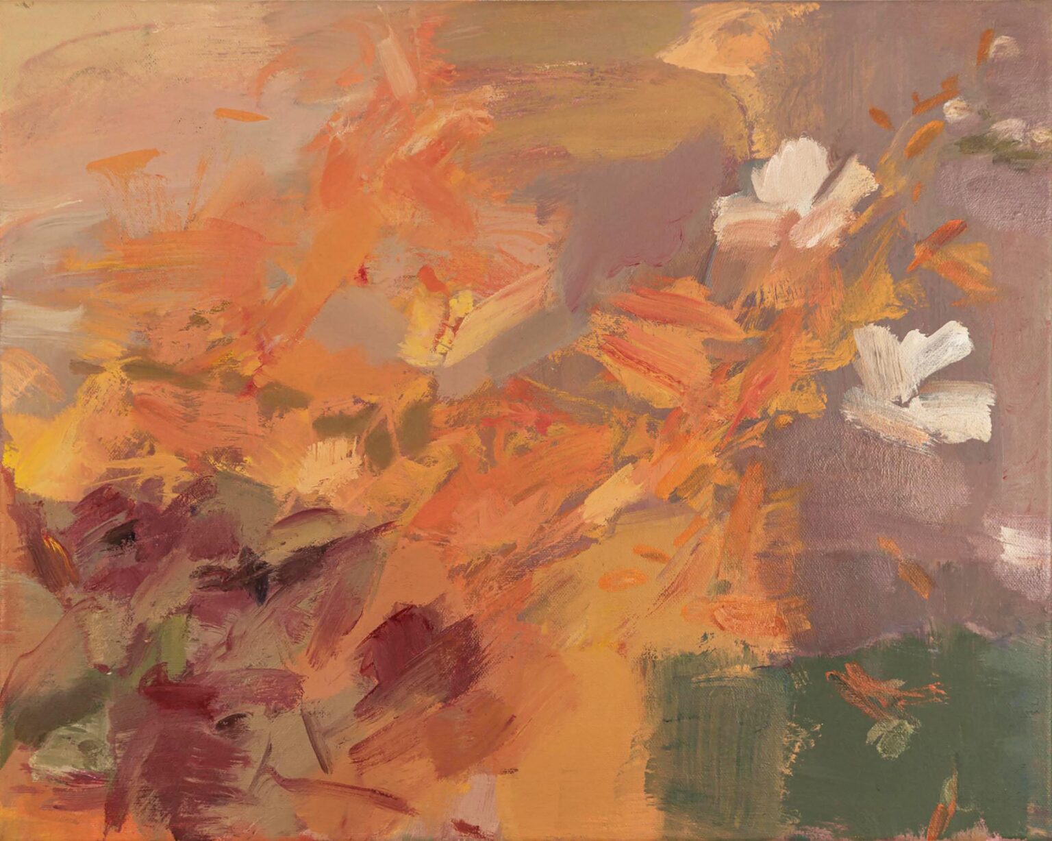 Plantscapes - Claire Ninham | Artist