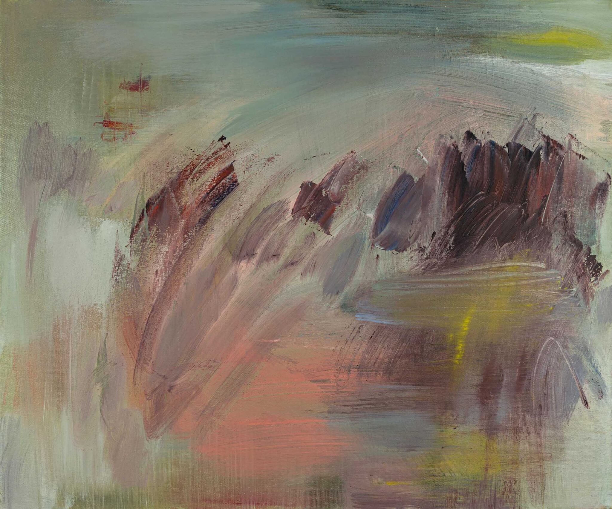 Plantscapes - Claire Ninham | Artist