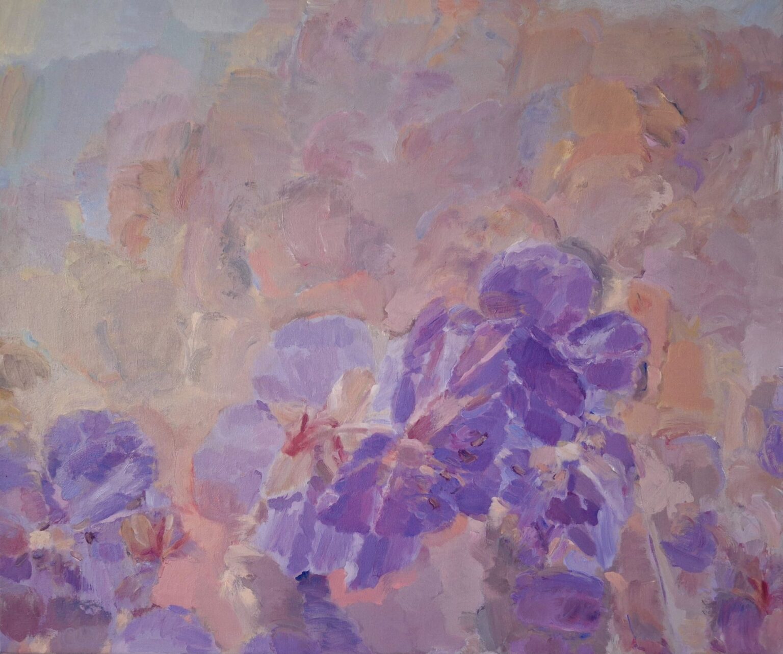Plantscapes - Claire Ninham | Artist