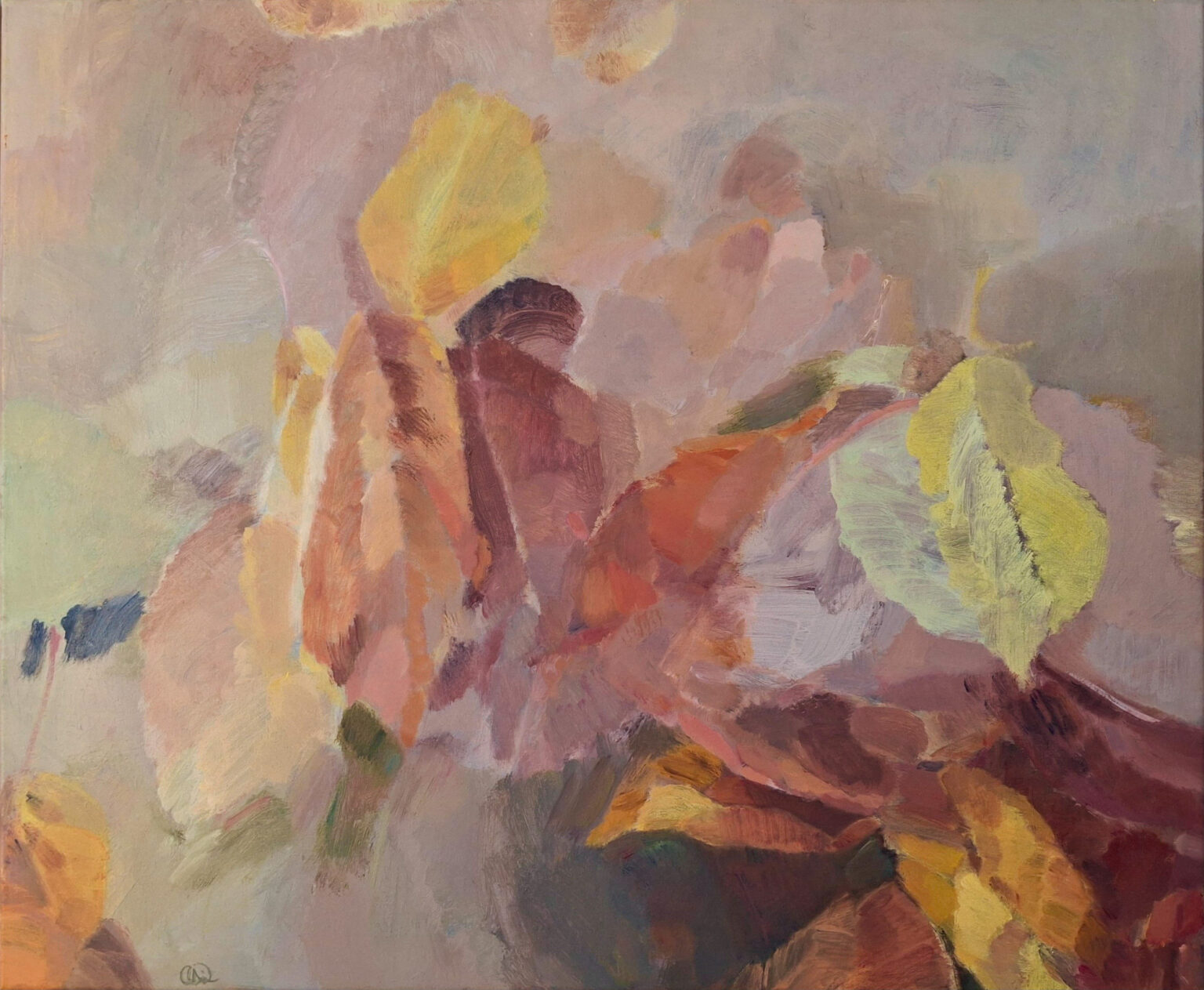 Plantscapes - Claire Ninham | Artist